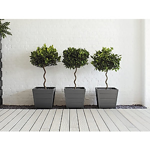 Garden Paint Charcoal Grey 250ml