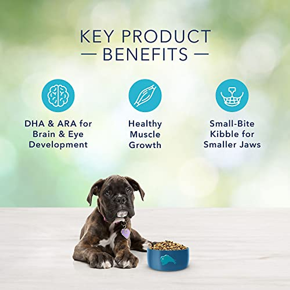 Blue Buffalo Freedom Grain Free Natural Puppy Dry Dog Food, Chicken 24-lb