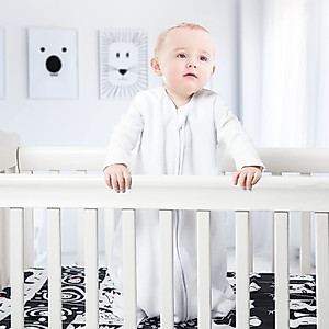 HIYYUE Micro-Plush Baby Sleep Sack 6-12 Months All Season Baby Sleeping Bag 2-Way Zipper Toddler Wearable Blankets 2Pack Warm Soft Plush…