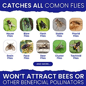 Fly Traps Outdoor Fly Traps. 12 Natural Pre-Baited Fly Bags Outdoor Disposable. Fly Trap Bag Fly Catchers Outdoors. Stable Ranch Fly Trap. Disposable Fly Traps Outdoor Hanging Fly Killer