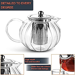 Warmyee Glass Teapot with Removable Infuser, Stovetop Safe Tea Kettle, Tea Diffuser for Loose Tea Maker Set (22 oz / 650 ml (1-2 Cups))