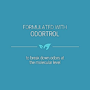 Green Groom Odor Eliminator Dog Shampoo, 16 oz - Crafted with Odortrol, All Natural Ingredients, Antioxidant Rich, Eliminates Smelly Pet Odors, Powerful Deodorizing Formula, Professional Grade