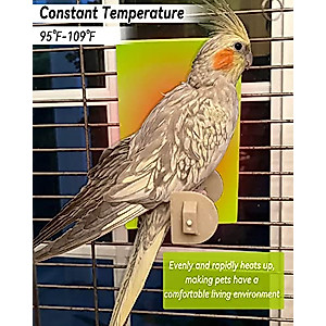 Bird Heater 12V 3.3"x6" for Cage Bird Perch Stand Warmer Snuggle Up Fit for African Grey, Parakeets, Parrots, Small Birds, Hamsters, Hedgehogs, Chinchillas and Other Animals, Vertical Section