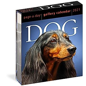 Dog Page-A-Day Gallery Calendar 2021