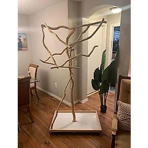 Exoticdad Parrot Stand - Reptile Birds Perches For Parrots - Wood Perches Stand For Parrot - Uniquely Sanded ,Custom Made Designed For Parrots, Cockatoo, Parakeets- 2ft x 3ft Base and 5.5-6ft Height