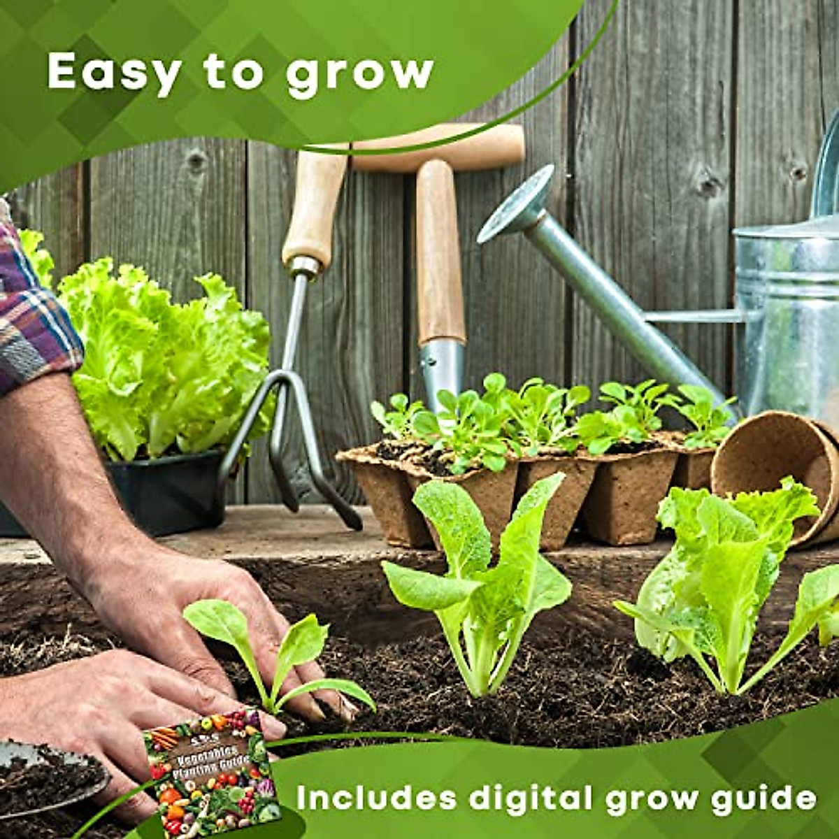 Heirloom Vegetable Seeds Variety 7 Pack — Includes Beet, Broccoli, Cabbage, Carrot, Celery, Cucumber and Kale — Vegetable Garden Starter Kit (7 Variety A)