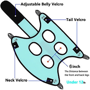 JDMYCYCQXF Cat Grooming Hammock Harness, Cat Holder for Grooming with Cat Nail Clippers/Trimmer,Nail File (Size:XS)