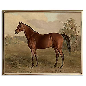 Equestrian Wall Decor - Horse Art Print for Home Decor - Antique Horse Riding Wall Artwork Decoration Farmhouse Country Wall Art for Home Decor - 11x14 inches, Ready to Frame (Classic Stallion)