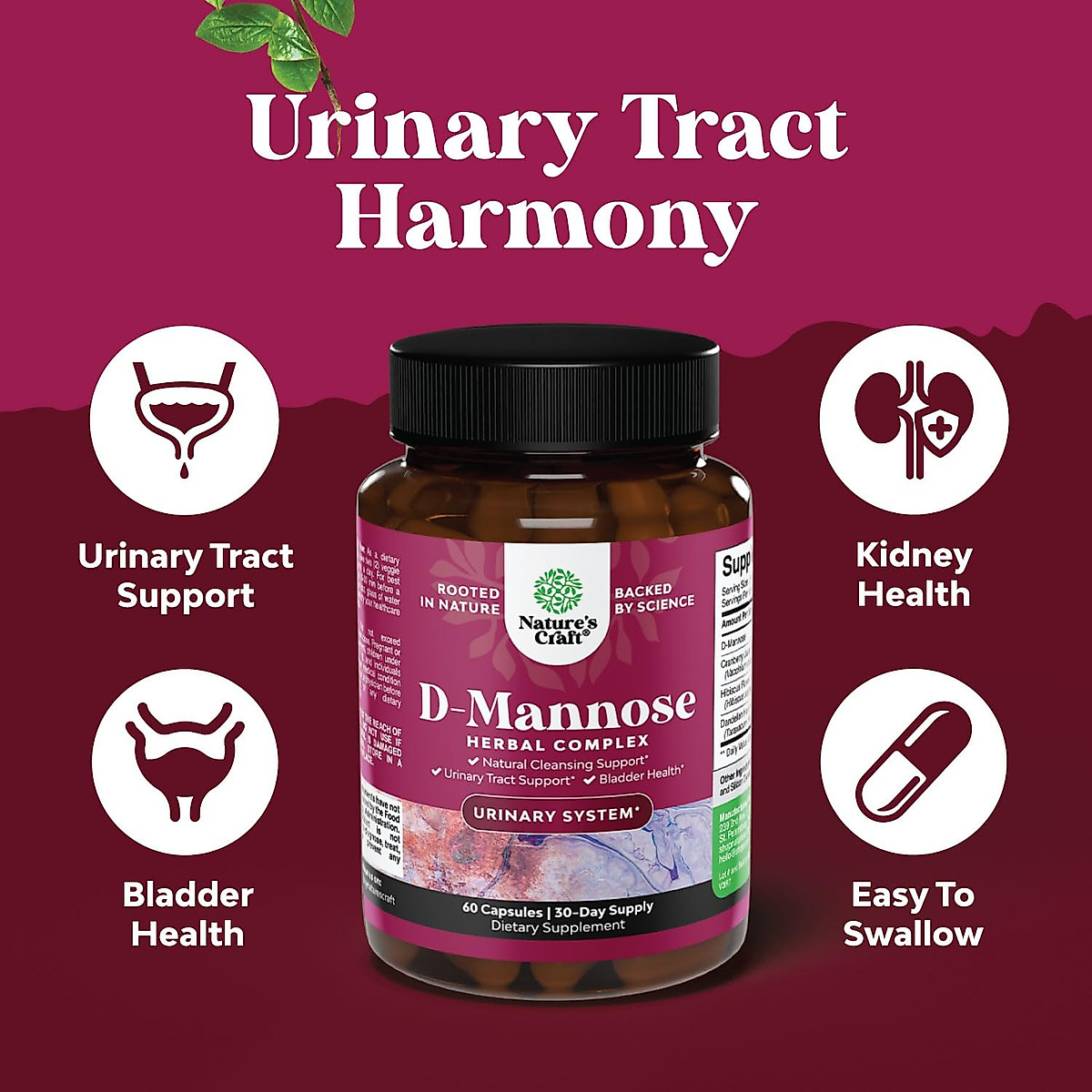 D Mannose with Cranberry Extract Capsules - D Mannose Capsules for Kidney Cleanse and Urinary Tract Health for Women - D-Mannose 1000mg Capsules Per Serving with Hibiscus & Dandelion (1 Month)
