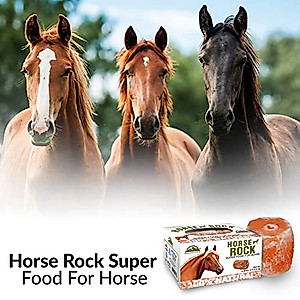 Himalayan Nature Horse Rock Salt, Animal Lick Salt - 8lbs, Elk