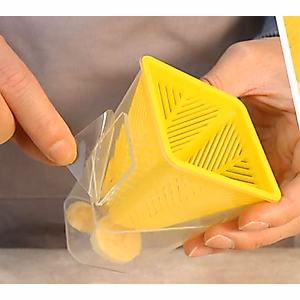 Voltup Fruit Fly Trap for Indoors Reusable with Sticky Pads Non-Toxic Funnel Fruit Fly Catcher Safe for Pets in House and Kitchen Easy to Use and Controls Fruit Flies with Natural Lure 4PCs