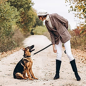 Black Rhino Dog Leash - Heavy Duty - Medium & Large Dogs | 6ft Long Leashes | Two Traffic Padded Comfort Handles for Safety Control Training - Double Handle Reflective Lead - (Black)