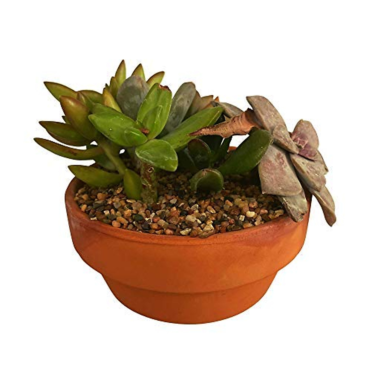 IPW Industries Inc. Compatible 5 Pound Box Replacement Filter Tank Gravel