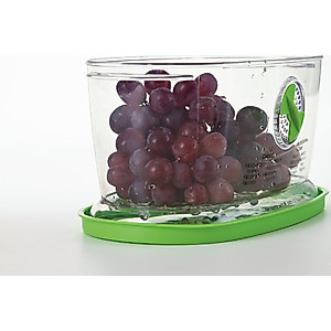 Prepworks by Progressive Fresh Fruit & Vegetable Keeper