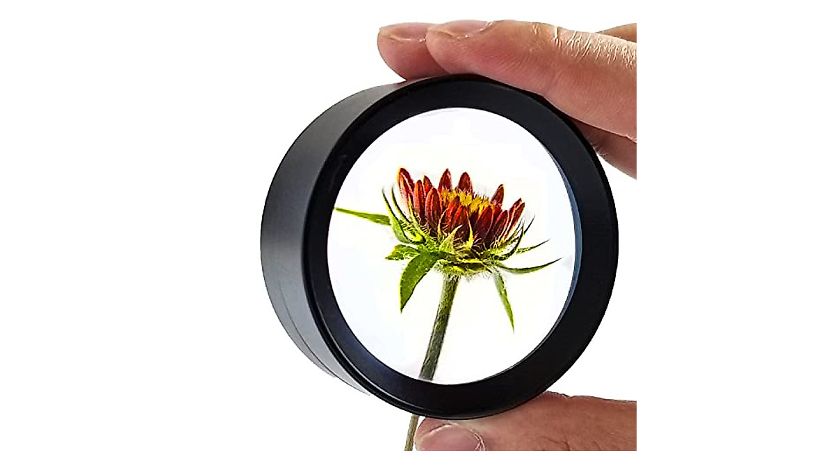 5X Handheld Magnifying Glass for Jewelry, Coins & Reading