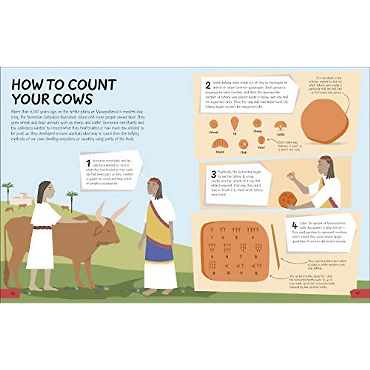 What's the Point of Math? (DK What's the Point of?)