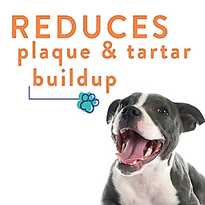 ProBesties Complete Dental Care for Dogs (lg), Probiotic Food Topper Dental Powder for Dogs - Bad Breath Treatment for Dogs - Dog Breath Freshener & Perio Support - Dog Bad Breath Eliminator