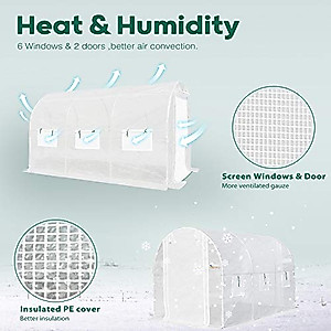KING BIRD Upgraded 10x6.6x6.6FT Large Walk-in Greenhouse Heavy Duty Galvanized Steel Frame 2 Zippered Screen Doors 6 Screen Windows Tunnel Garden Plant Hot Green House 18 Stakes 4 Ropes 2 Gloves White