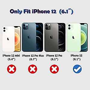 QHOHQ 3 Pack Screen Protector for iPhone 12 6.1 Inch with 2 Pack Tempered Glass Camera Lens Protector, Ultra HD, 9H Hardness, Scratch Resistant, Easy Install - Case Friendly