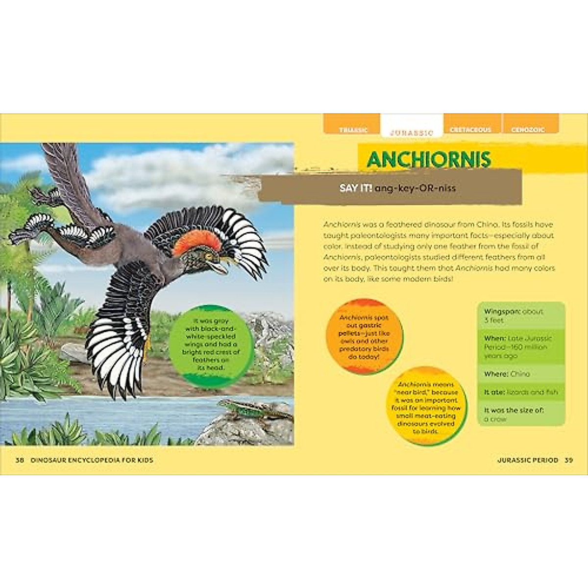 Dinosaur Encyclopedia for Kids: The Big Book of Prehistoric Creatures