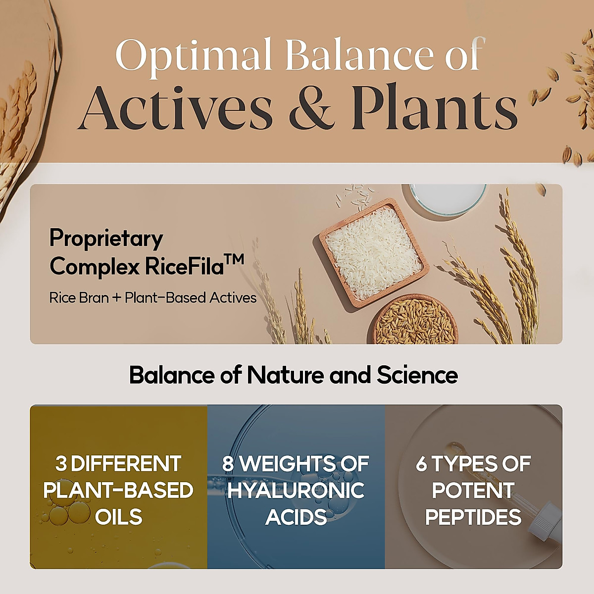 HAYEJIN RiceFila Rice Moisturizer Face Cream | Day and Night Moisturizer for Face Hydrating Face Cream Natural Rice Vegan Face Moisturizer for Dry Skin | K Beauty Face Lotion Rice Cream (1.69 Fl. Oz)