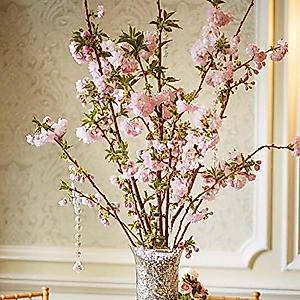 QAUZUY GARDEN 50PCS Bonsai Tree Japanese Sakura Seeds Rare Japanese Cherry Blossoms Flowers Seeds in Bonsai Pink Prunus Serrulata Fragrant Fast-Growing Low-Maintenance