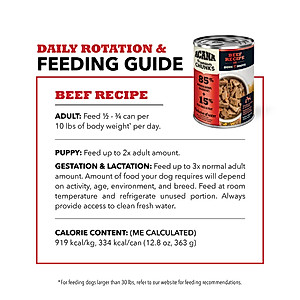 ACANA Premium Chunks Wet Dog Food, Beef Recipe in Bone Broth, 12.8oz (Case of 12)
