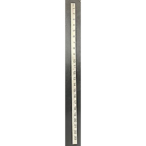 Steel Rule 3/4 in x 2 Ft