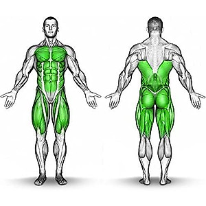 SleekMax, MPA Vasoburn Capsaicin Skin-Gel Pump Bottle, Targets Stubborn Areas, Capsaicin Cream, yohimbine Cream, bundle with a Motivational Wristband Bracelet to motivate and support you (7 oz.)