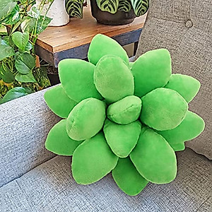 3D Succulents Cactus Pillow, Decorative Green Throw Pillows for Bed, Cute Pillows Succulent Pillow Plant Pillow for Bedroom Aesthetic Pillows Home Décor Gift for Garden Green Lovers 9.8 inches(b)