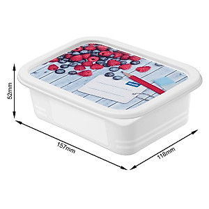 Rotho Domino Set of 4 Food Storage Container, Plastic (BPA-Free), 4X 0.5 litres (15.7 x 11.8 x 5.3 cm), Red, One Size
