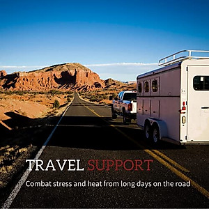 Redmond Equine Electrolyte Paste | Electrolytes Supplement for Horses