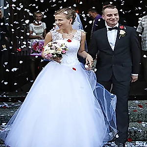 Yisowank 8000pcs Heart Shaped Biodegradable Wedding Confetti Paper Confetti for Anniversary,Birthday,Graduation,Wedding,Bridal Shower and Baby Shower Parties decoration (White)