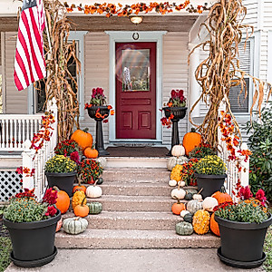 Bloem Terra Pot Planter: 24" - Black - Durable Resin Pot, for Indoor and Outdoor Use, Gardening, 16 Gallon Capacity, Saucer Sold Separately