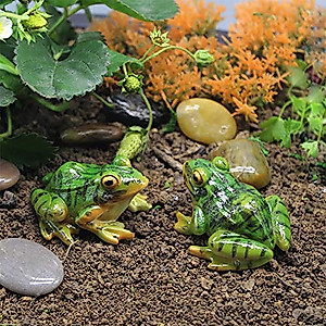 MAOMIA 2pcs Miniature Frog Figurine, Fish Tank Decoration Fairy Garden Turtle Statue Landscape Indoor Outdoor Decor Ornament