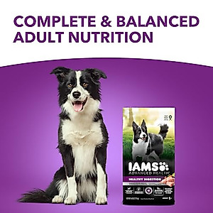 IAMS Advanced Health Adult Healthy Digestion Dry Dog Food with Real Chicken, 27 lb. Bag