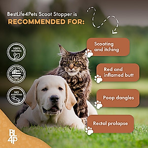 Scoot Stopper and Anal Gland Support for Dogs and Cats - 100% Natural Relief for Dog and Cat Constipation, Rectal Prolapse, Itching, Inflammation, Bum Scooting and Difficult Pooping - 400 Small Pills
