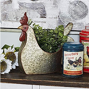 Deco 79 Metal Rooster Indoor Outdoor Planter, 12" x 8" x 16", Gray