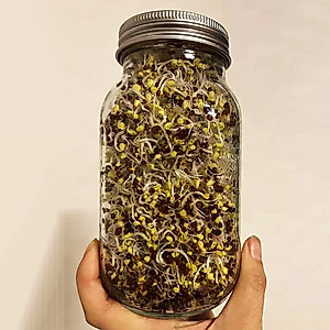 12 Pack Sprouting Lids,304 Stainless Steel Screen Filter Strainer Lid for 2.75 Inch Regular Mouth Mason Jar,Mesh Bean Sprout Sieve Lids,Home Use Alfalfa,Salad,Broccoli,Lentil NO GLASS JAR QurHapzy