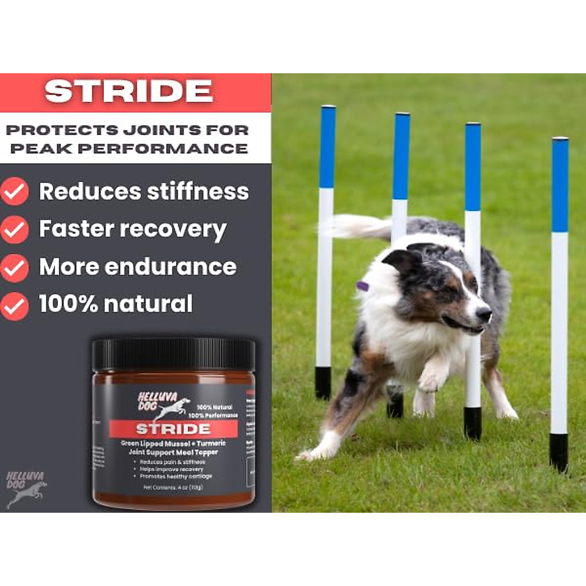 Homescape World Stride by Helluva Dog — Joint Support Meal Topper for Active Sporting Dogs — Green Lipped Mussel & Turmeric Powder for Mobility & Recovery 4oz