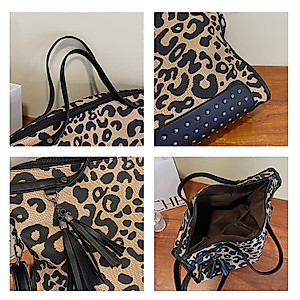 HANDAFA Ladies Leopard Print Tote Handbag Large Capacity Satchel Bag Fashion Shoulder Bag(Brown)