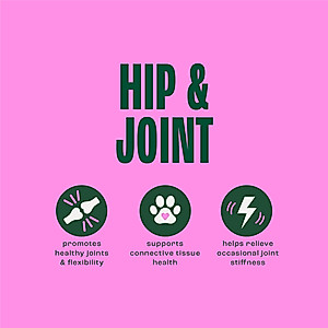 Furtify Hip and Joint Chews for Dogs I Dog Joint Supplement with Glucosamine, Chondroitin, MSM, Green Lipped Mussel & Turmeric I Soft & Chewable Support for Pet Health, Mobility and Stiffness - 90 ct