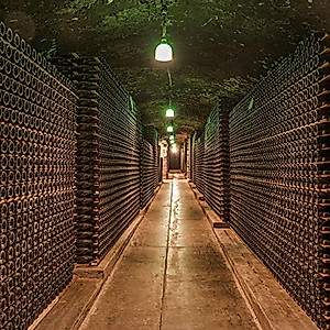 Xtricity CFL Bulb, 4100K Cool White, 150W Eqv (40W) High Lumen, Compact Fluorescent Light Bulb 150W Equivalent, 2650 Lumens, T4 Spiral - E26 Medium Base, 120V, Daylight (Pack 1)