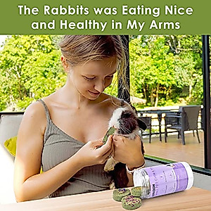 ERKOON 100% Edible Premium Timothy Hay Chew A Blocks for Rabbits, Chinchilla Treats, Chew Toys for Teeth Guinea Pigs and Mice