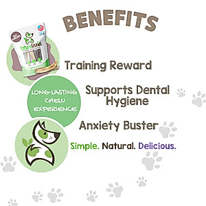 Nature Gnaws USA Elk Antlers for Dogs 5-8" (5 Count) - Mix of Split and Whole Pieces - Long Lasting for Aggressive Chewers - Natural Dog Chew Bones