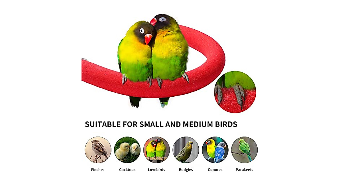 FrgKbTm U-Shape Quartz Sands Parrot Perch Stand