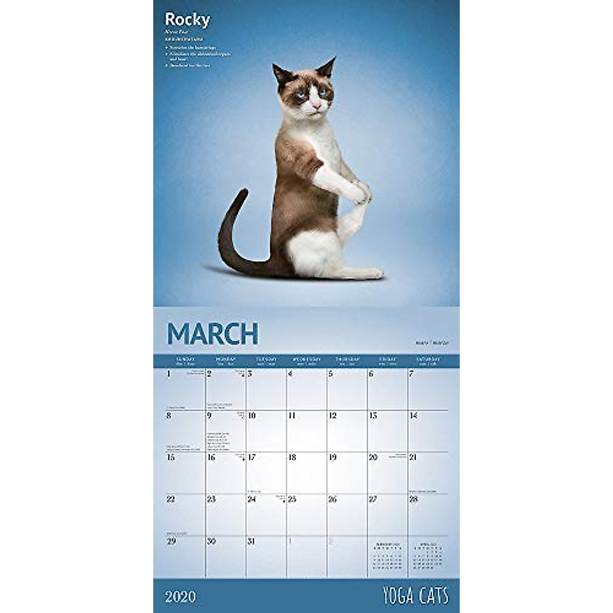 Yoga Cats 2020 Calendar
