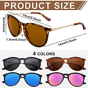 HEQU 4Pairs Vintage Round Sunglasses for Women Men Fashion Ladies Sunglasses Classic Retro Trendy Lightweight Circle Frame Sun Glasses UV400 Protection