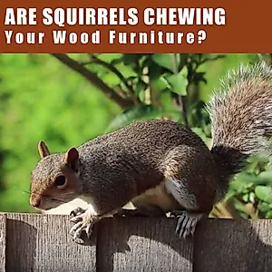 SEEKBIT 4 Pack Squirrel Repellent, Peppermint Garlic Keep Squirrel Out of Attic, Car, Engines, Roof, Outdoor Squirrel Deterrent Repels Chipmunk Rodent Mice Away from Garden, Yard, Warehouse