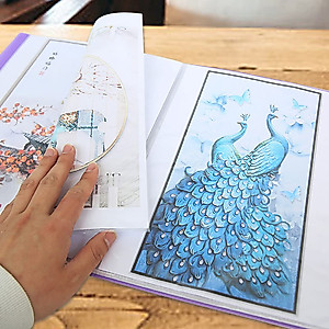 EUBUY Diamond Storage Book, A4 Diamond Picture Storage Book for 60 Diamond Picture Pics, 30 Pages Diamond Portfolio Folder for Diamond Picture Kits for Artwork, 12.2x9.1in